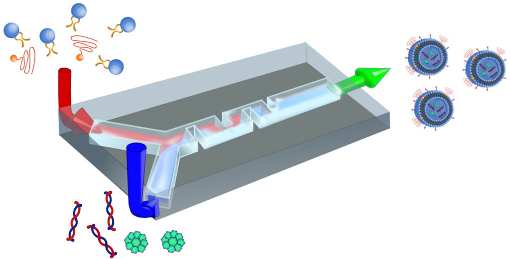 Research subject | Vascular-targeted Nanomedicine to realize ...