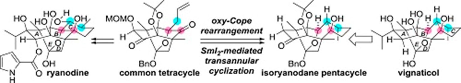 北海道大学大学院薬学研究院 天然物合成化学研究室